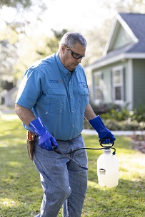 Spring Pest of the Week- Spring Cankerworm - UF/IFAS Extension Indian ...