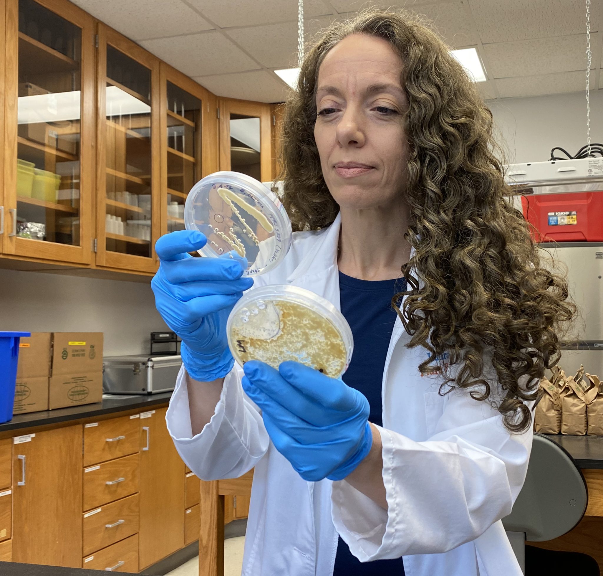 Biological Scientist Recognized by UF/IFAS With Superior Accomplishment ...