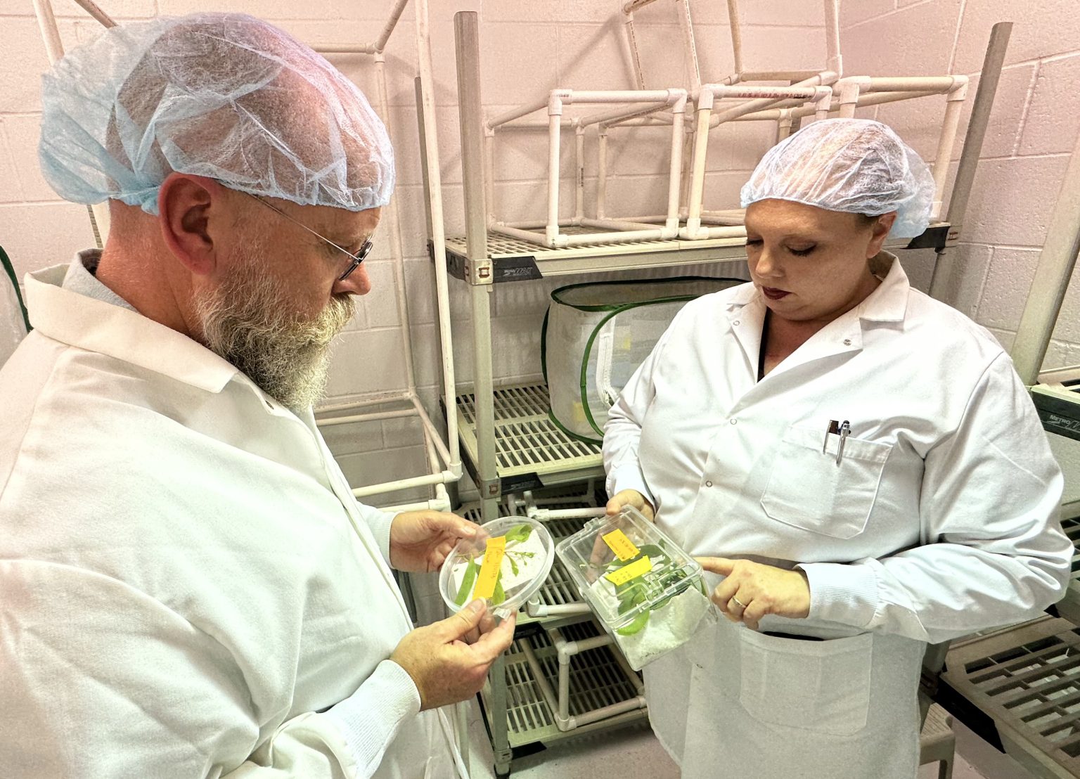 An interview with Dr. Matthew Thomas, leader of the UF/IFAS Invasion ...