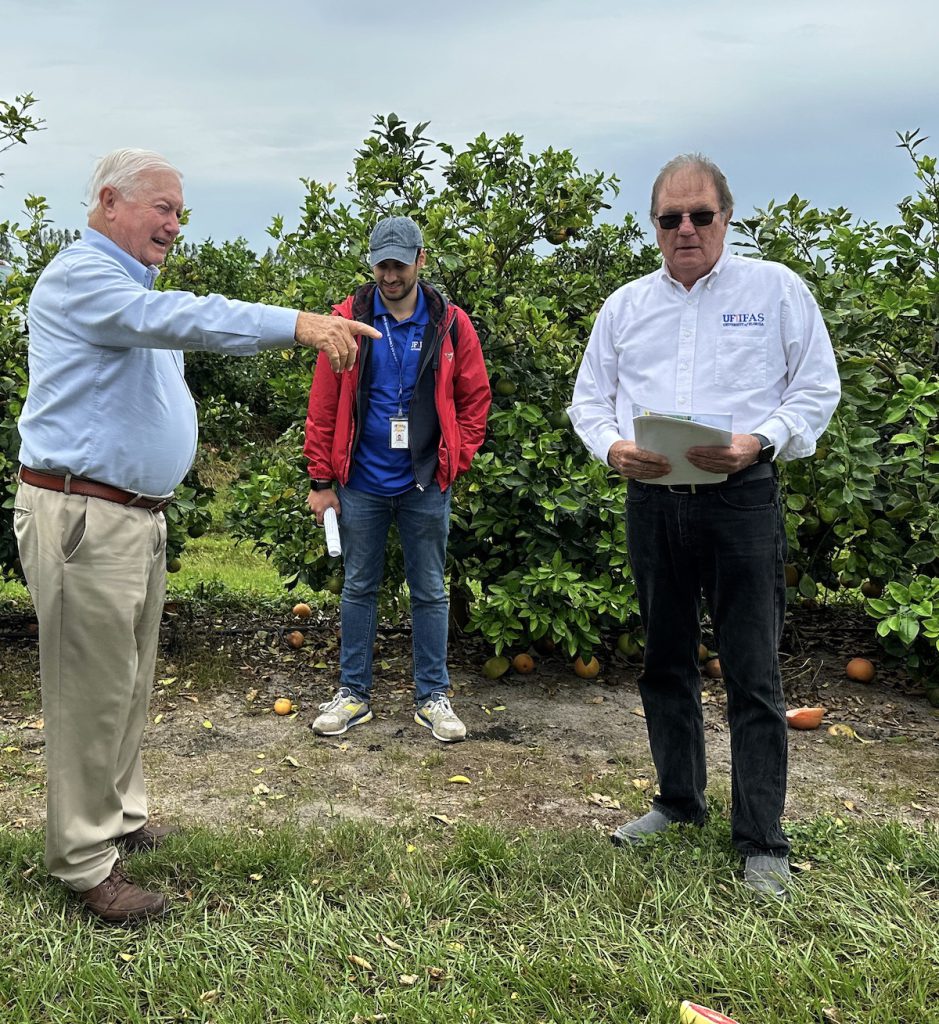 Data from two UF/IFAS field experiments advances - UF/IFAS Indian River ...