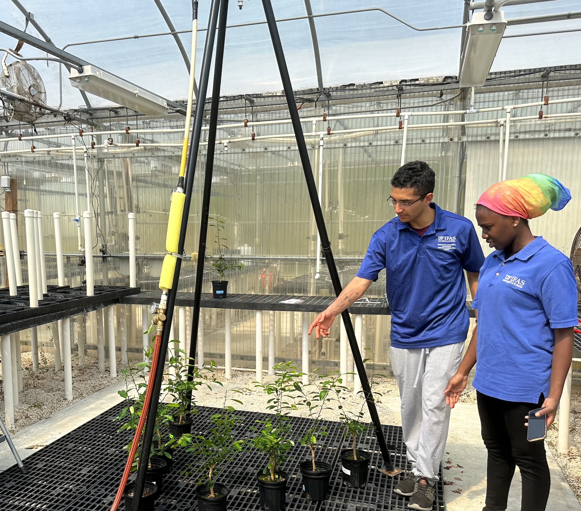 Grace Amponsah is a change agent for Ghana's women in agriculture - UF ...