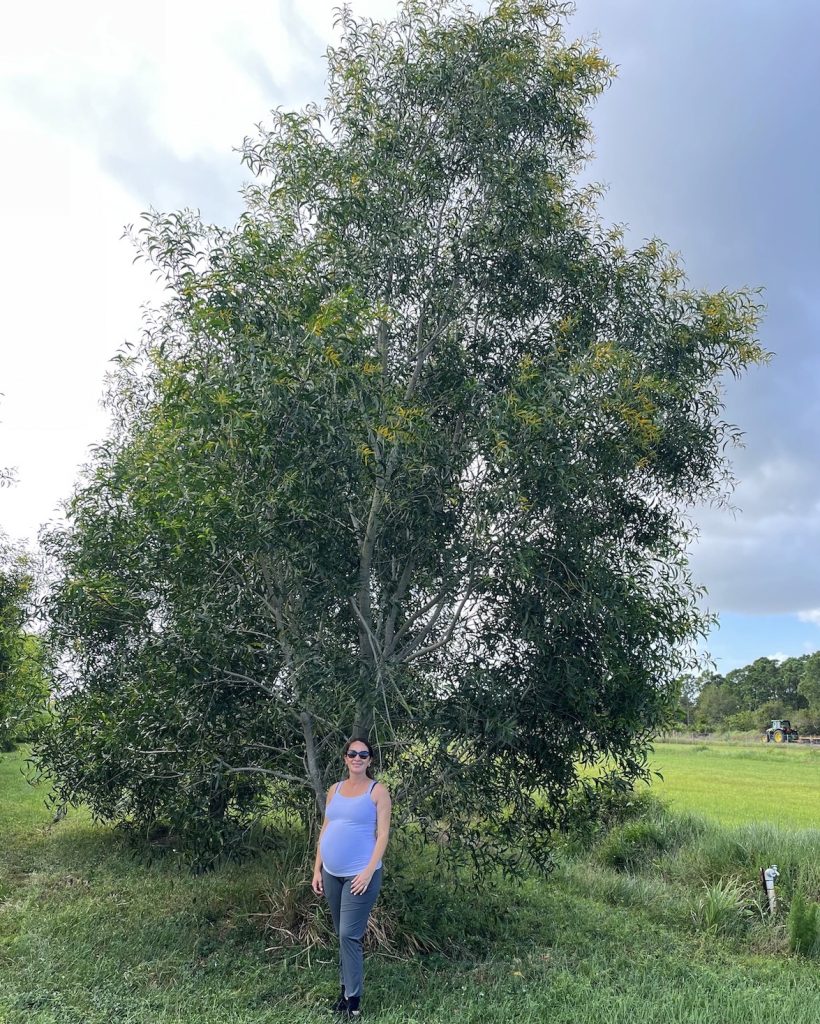 Invasion research Ph.D. student garners second international award - UF ...