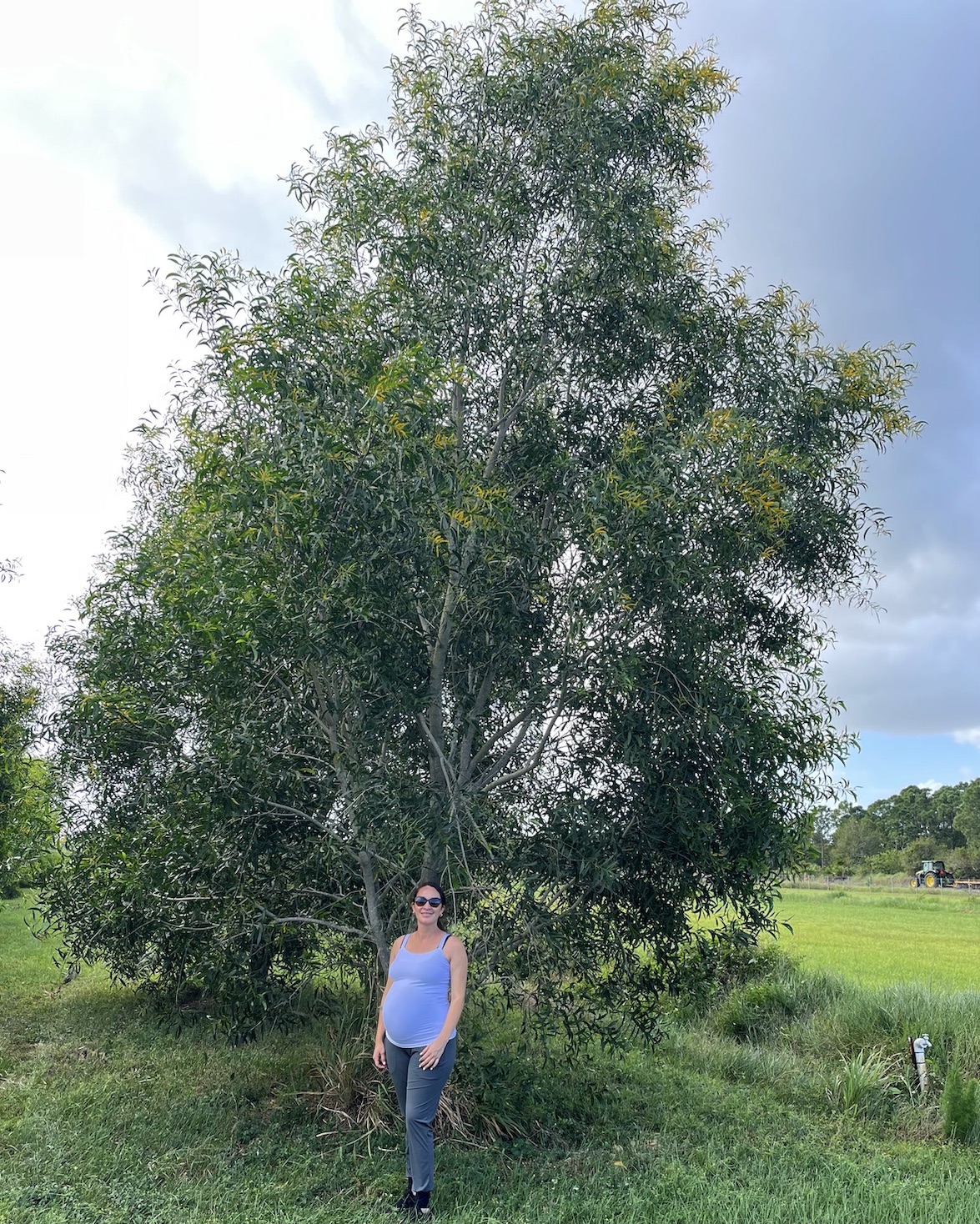 Invasion research Ph.D. student garners second international award - UF ...