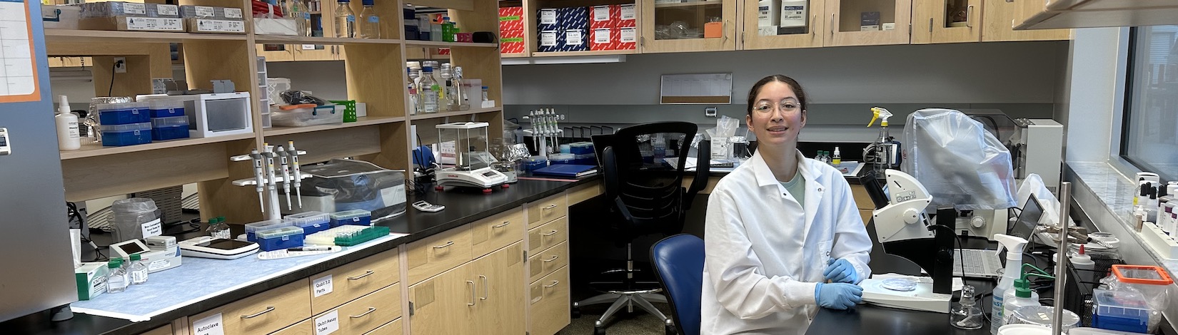 An undergraduate student studies endophytic fungi during a summer ...