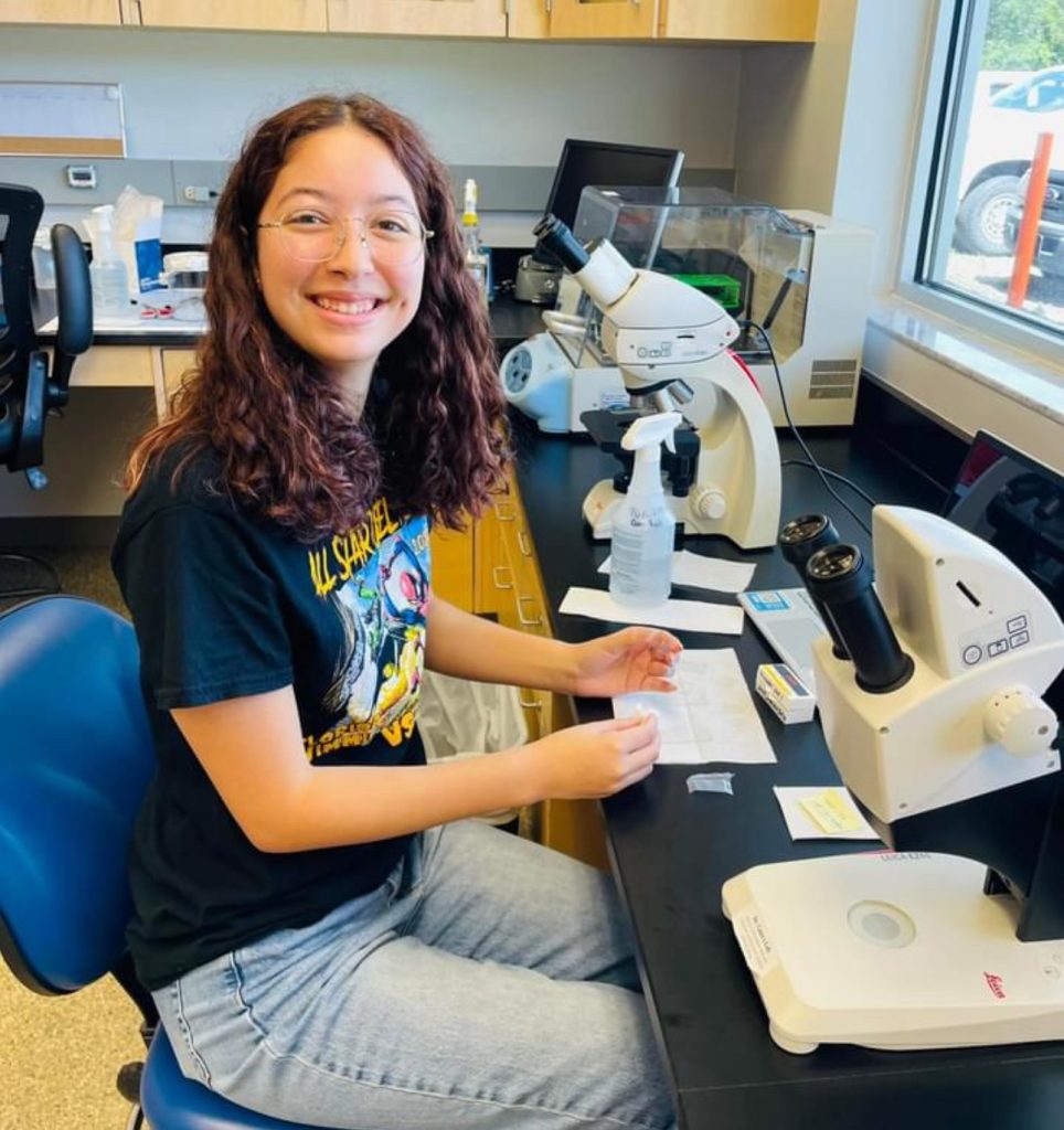 An undergraduate student studies endophytic fungi during a summer ...
