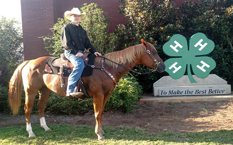 Local 4-H Member Competes at Regional Horse Show - UF/IFAS Extension ...