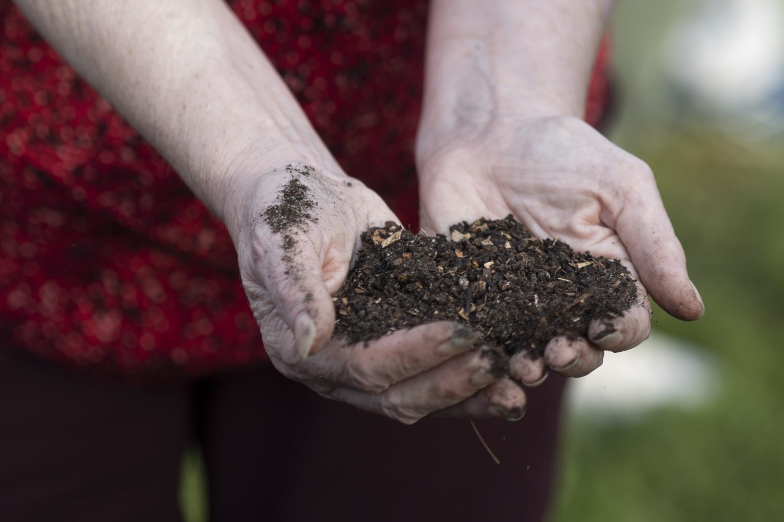 Nature's Recycling: The Art of Composting - UF/IFAS Extension Jackson ...
