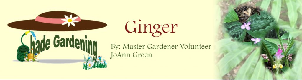 Pests & Disease – UF/IFAS Extension Jefferson County