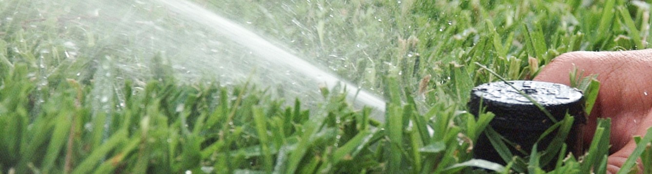 Pondering irrigation and our place in the water cycle - UF/IFAS ...