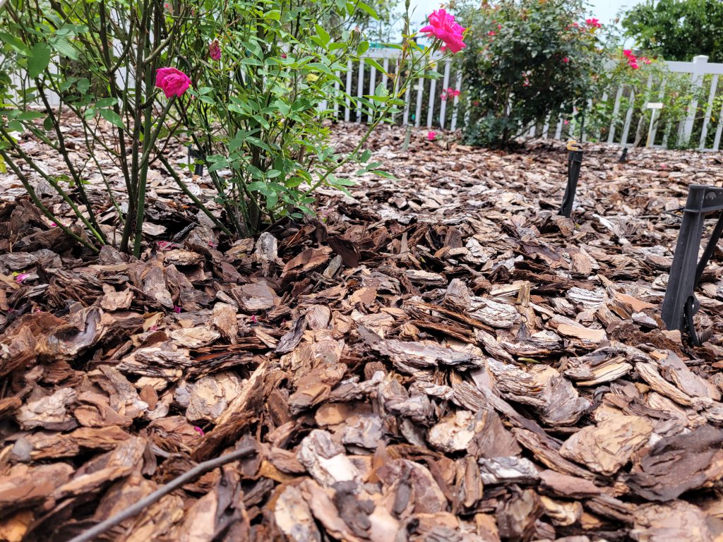 Mulch Options for the Home Landscape - UF/IFAS Extension Lake County
