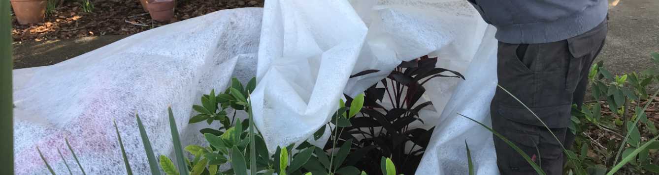 Cold Protection - Frequently Asked Questions - UF/IFAS Extension Lake ...