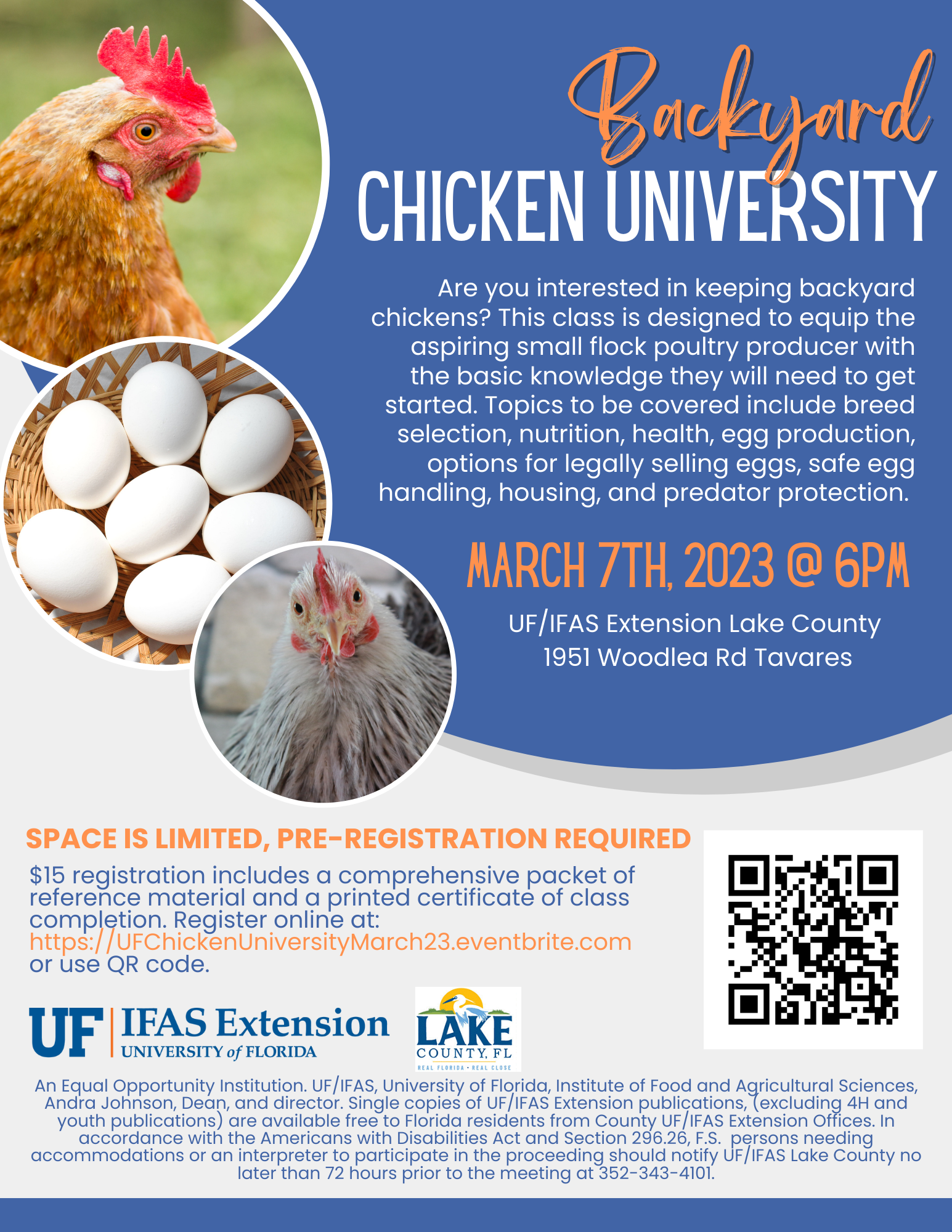 Egg-onomics of Keeping Backyard Chickens - UF/IFAS Extension Lake County