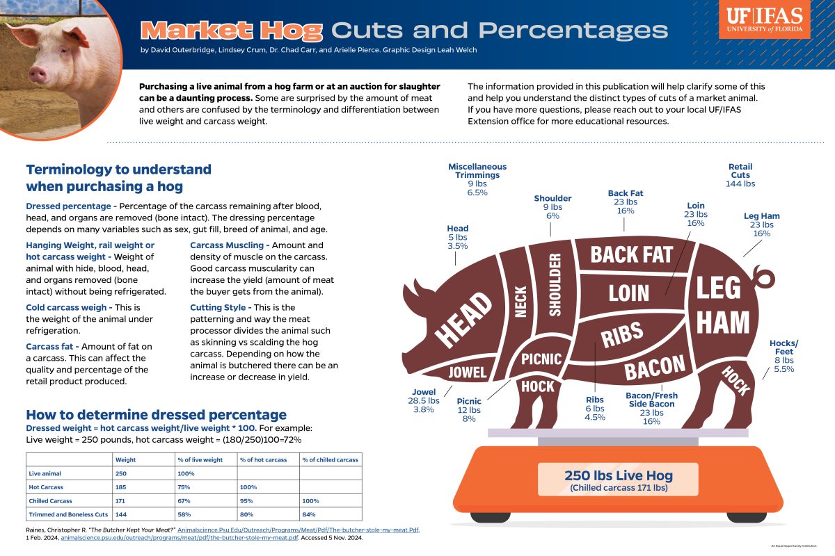 Infographic: Market Hog Cuts and Percentages. - UF/IFAS Extension Lee ...