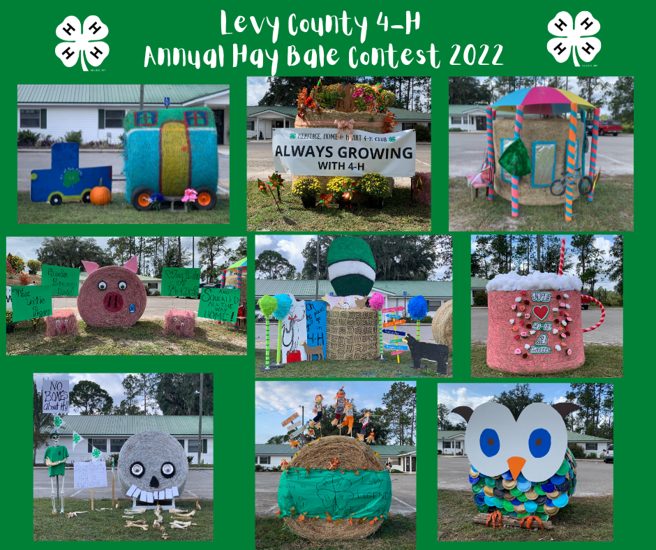 Levy County 4-H National 4-H Week Annual Hay Bale Contest