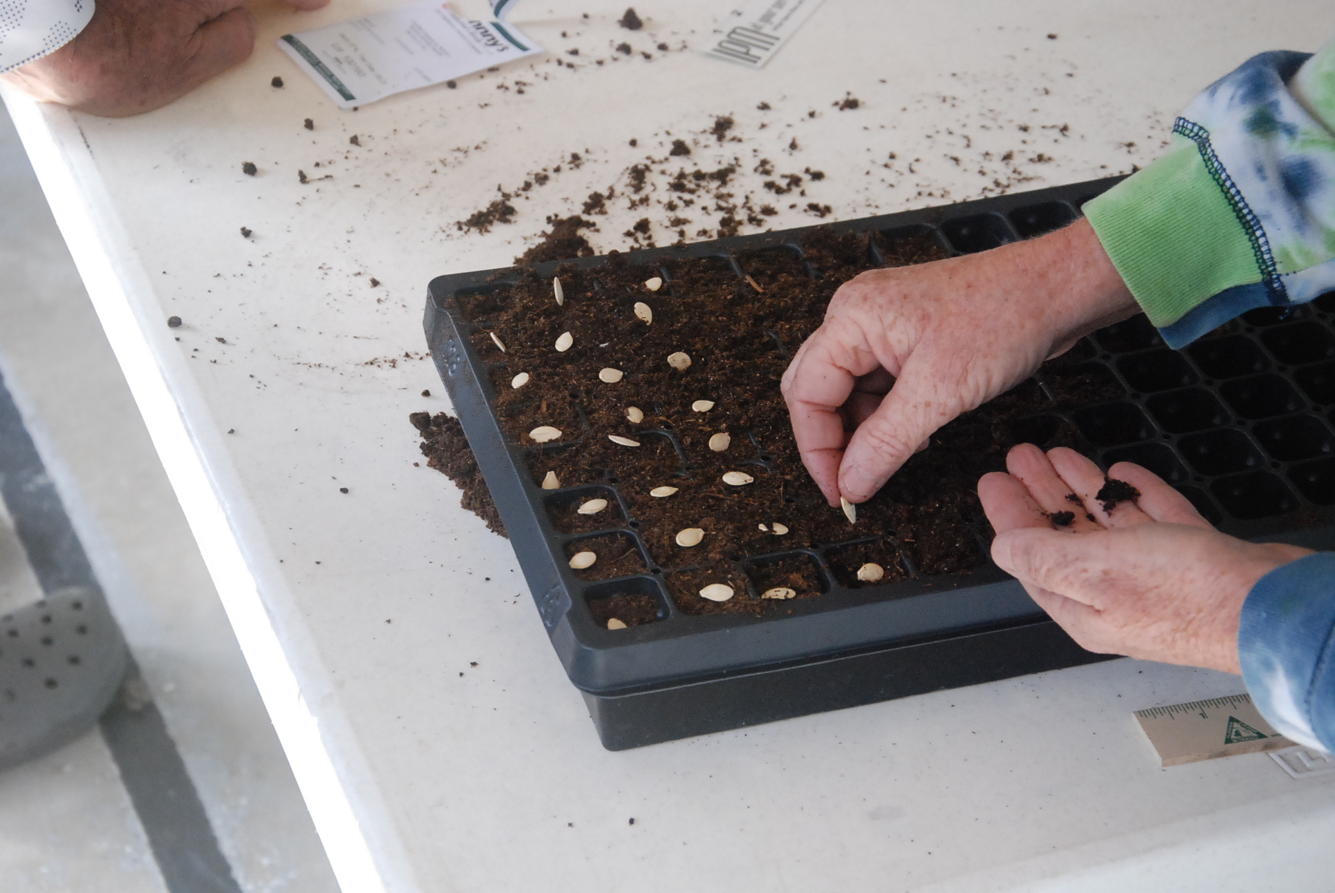 Congratulations to this year's 2024 Master Gardener class - UF/IFAS ...