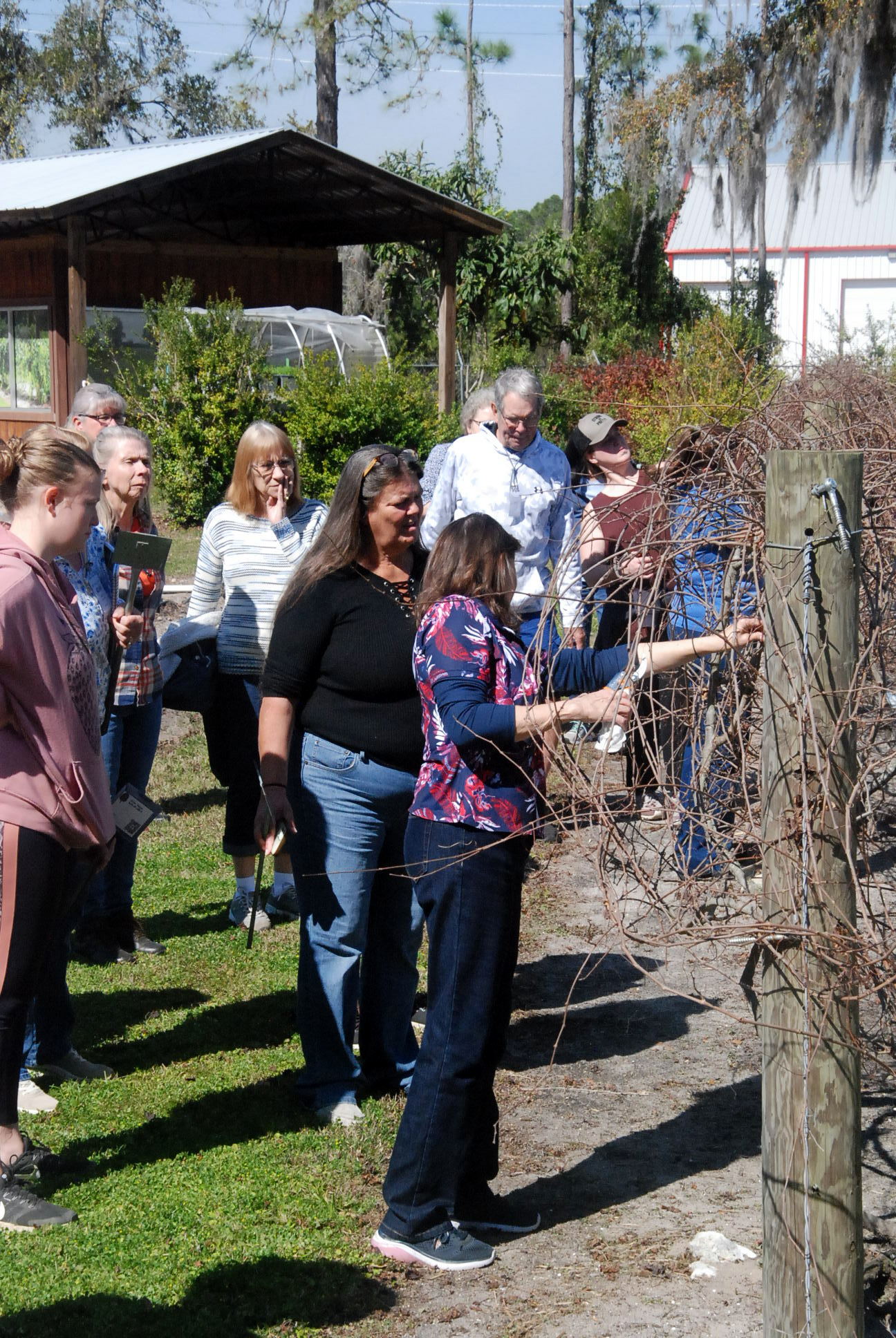 Congratulations to this year's 2024 Master Gardener class - UF/IFAS ...