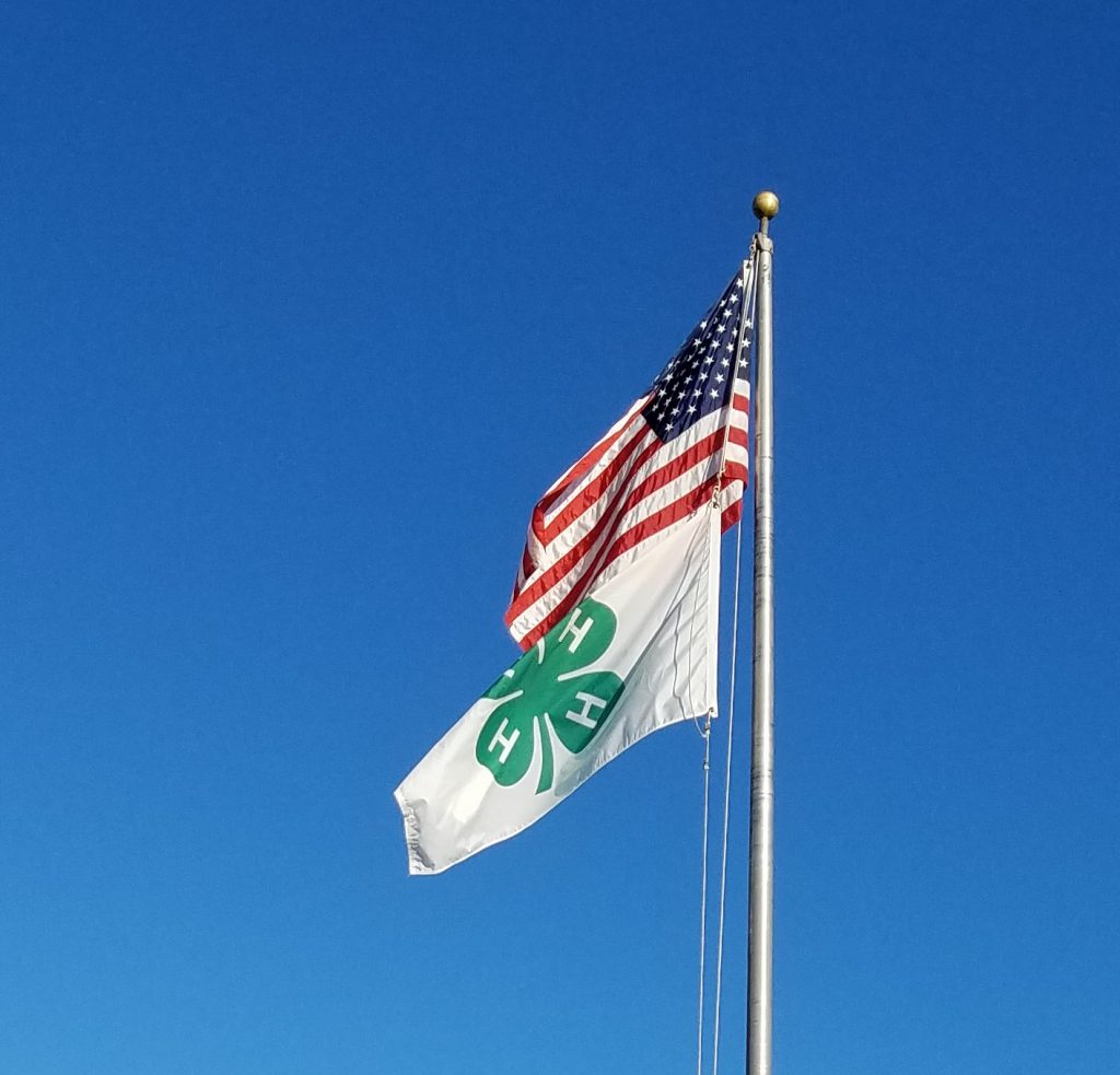 Understanding the 4-H Pledge and the Hand Movements - UF/IFAS Extension ...