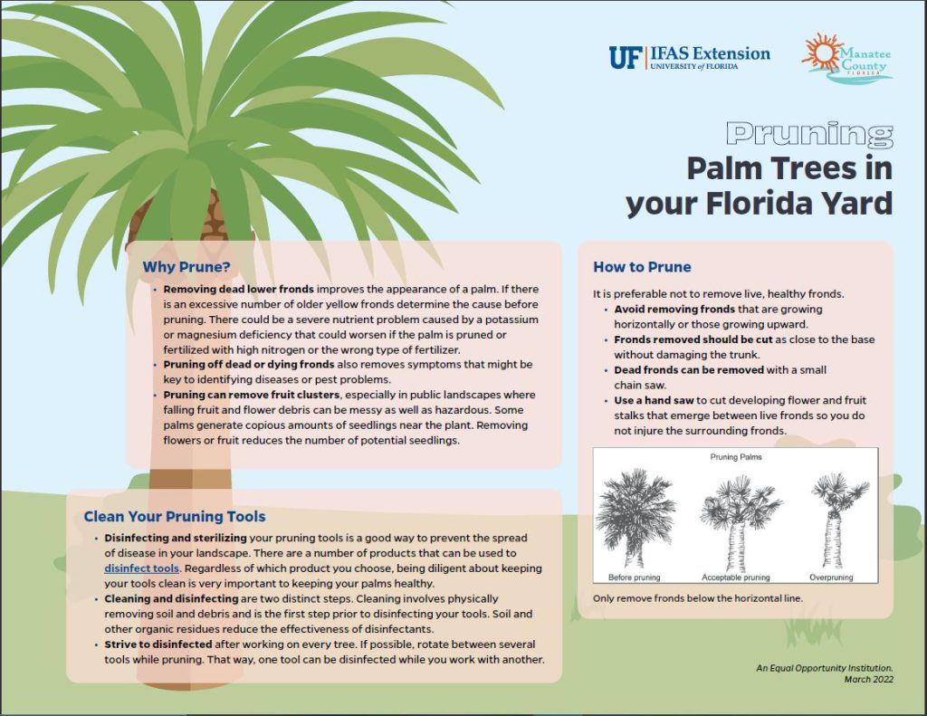 Tree Series: Pruning (Hardwood and Palms) - UF/IFAS Extension Manatee ...