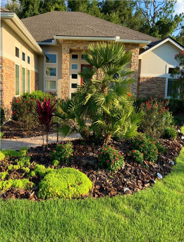 A Landscape Guide for New Florida Residents