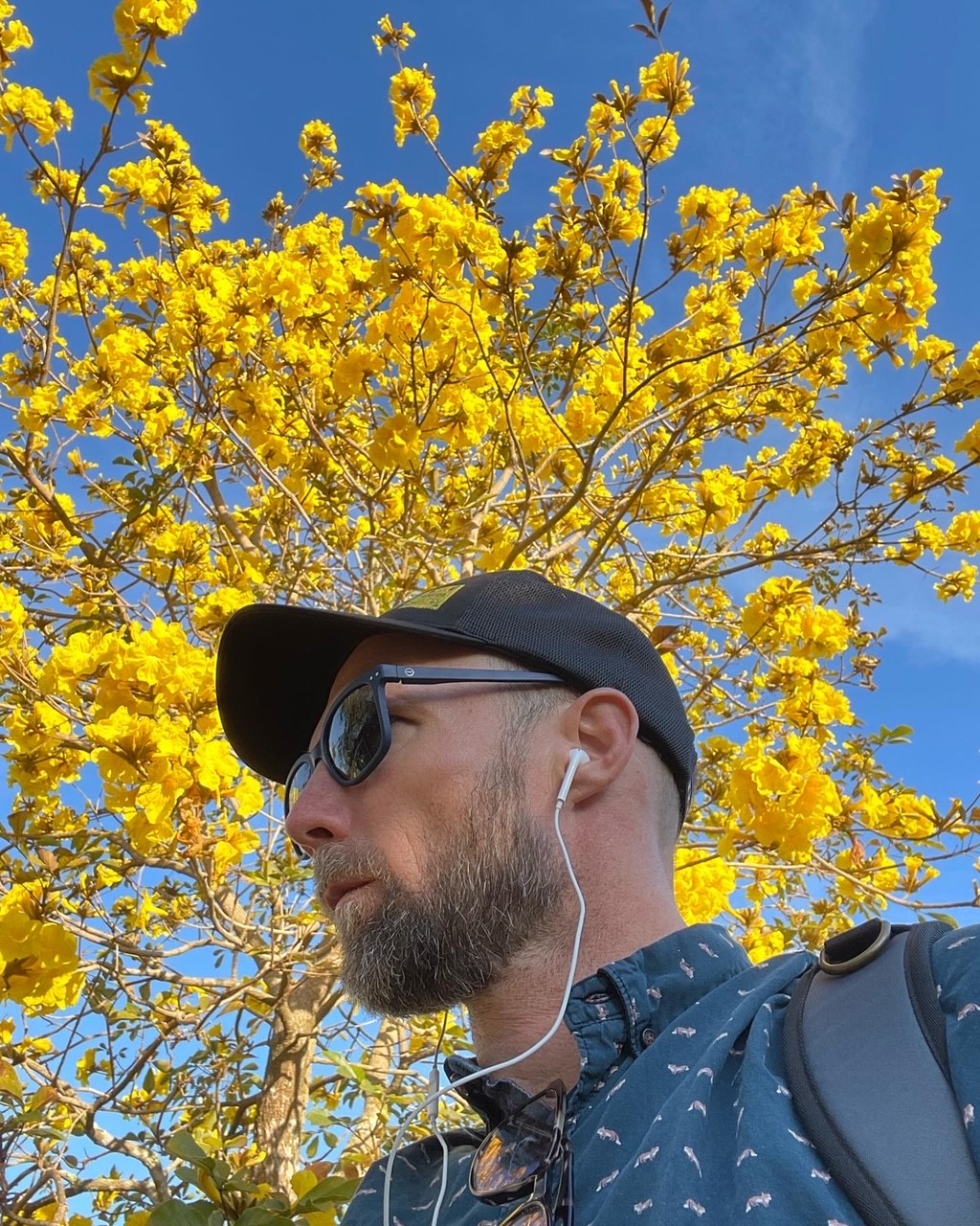 David Outerbridge, Author at UF/IFAS Extension Manatee County