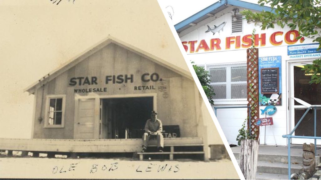 Cortez Kind: Celebrating Over 100 Years of Commercial Fishing - UF/IFAS ...