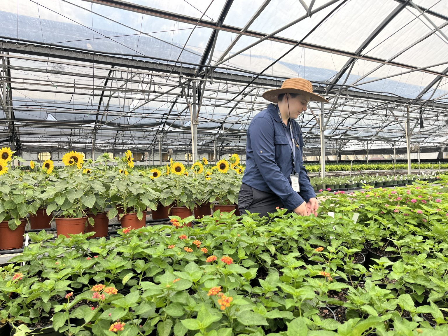 Extension in the Community - UF/IFAS Extension Manatee County