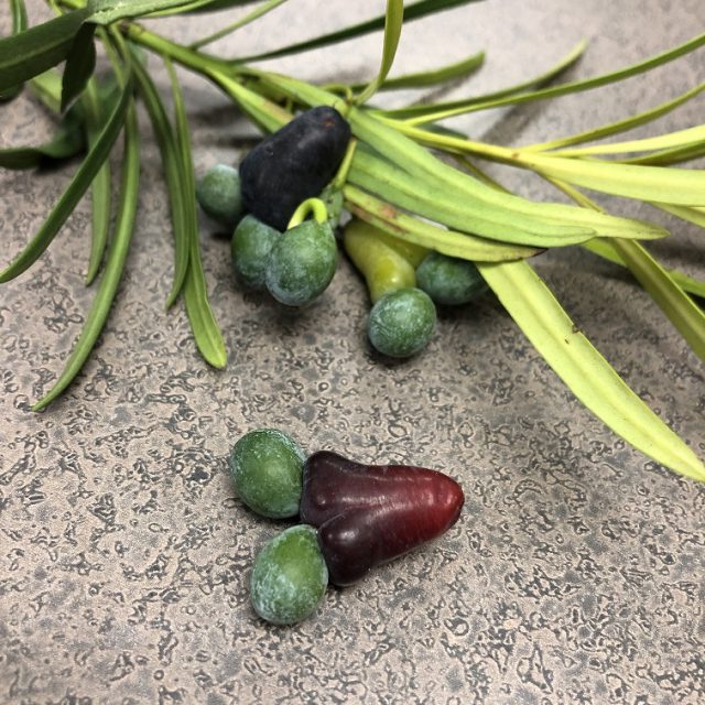 The Popular Podocarpus - UF/IFAS Extension Marion County