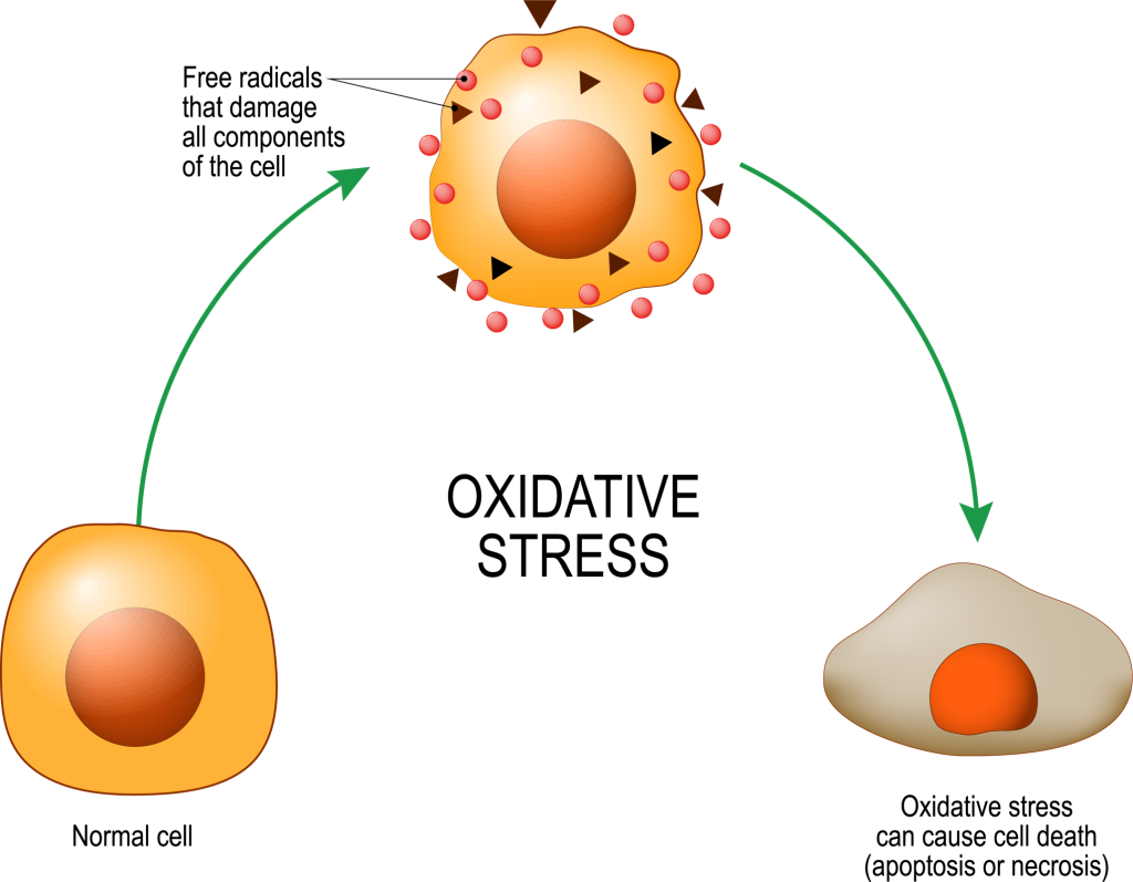 The Antioxidant Power in Herbs and Spices - UF/IFAS Extension Marion County