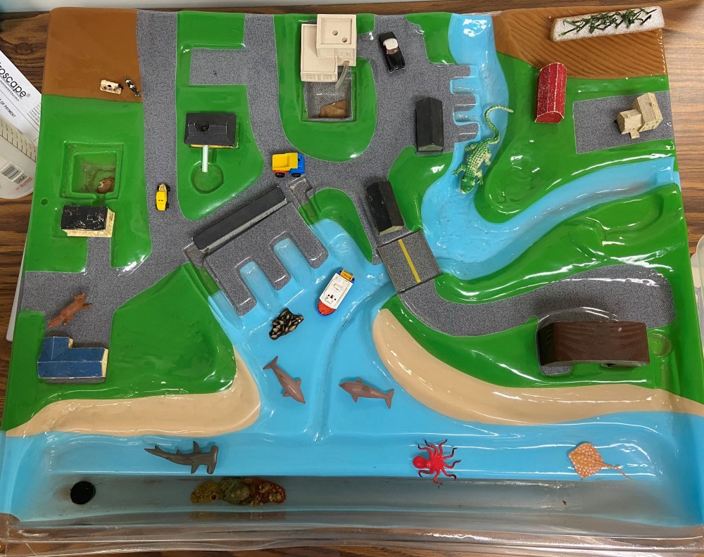 All Drains Lead to the Ocean - UF/IFAS Extension Martin County