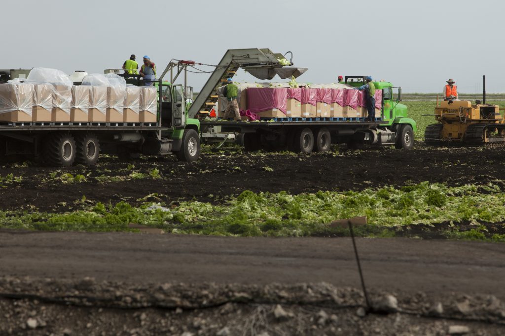 On-Farm Safety Training Video Resources for Florida Growers - UF/IFAS ...