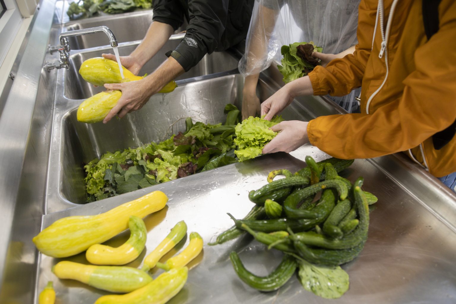 On-Farm Safety Training Video Resources for Florida Growers - UF/IFAS ...