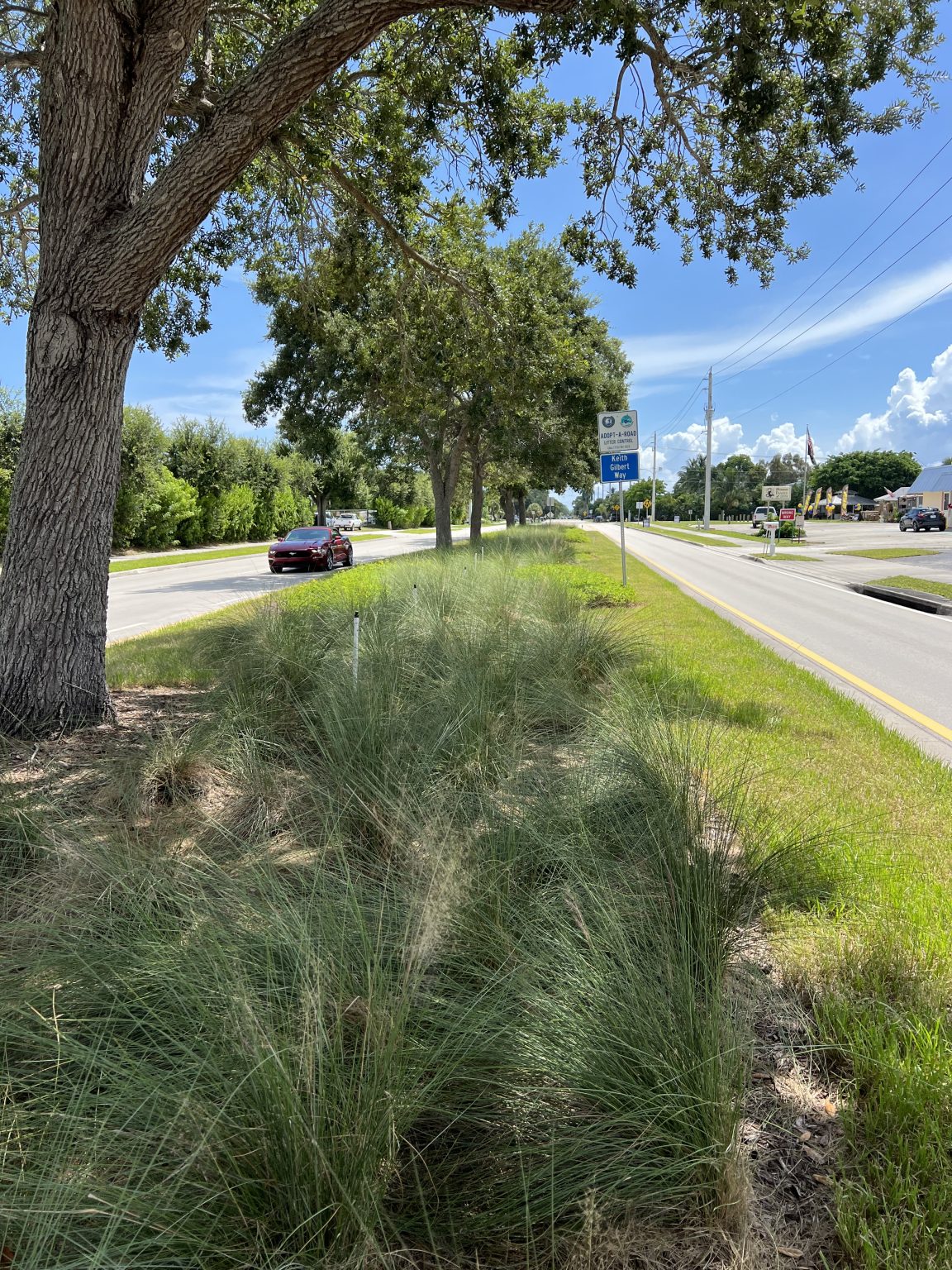 Profiles of FFL in Martin County: Golden Gate Median - UF/IFAS ...