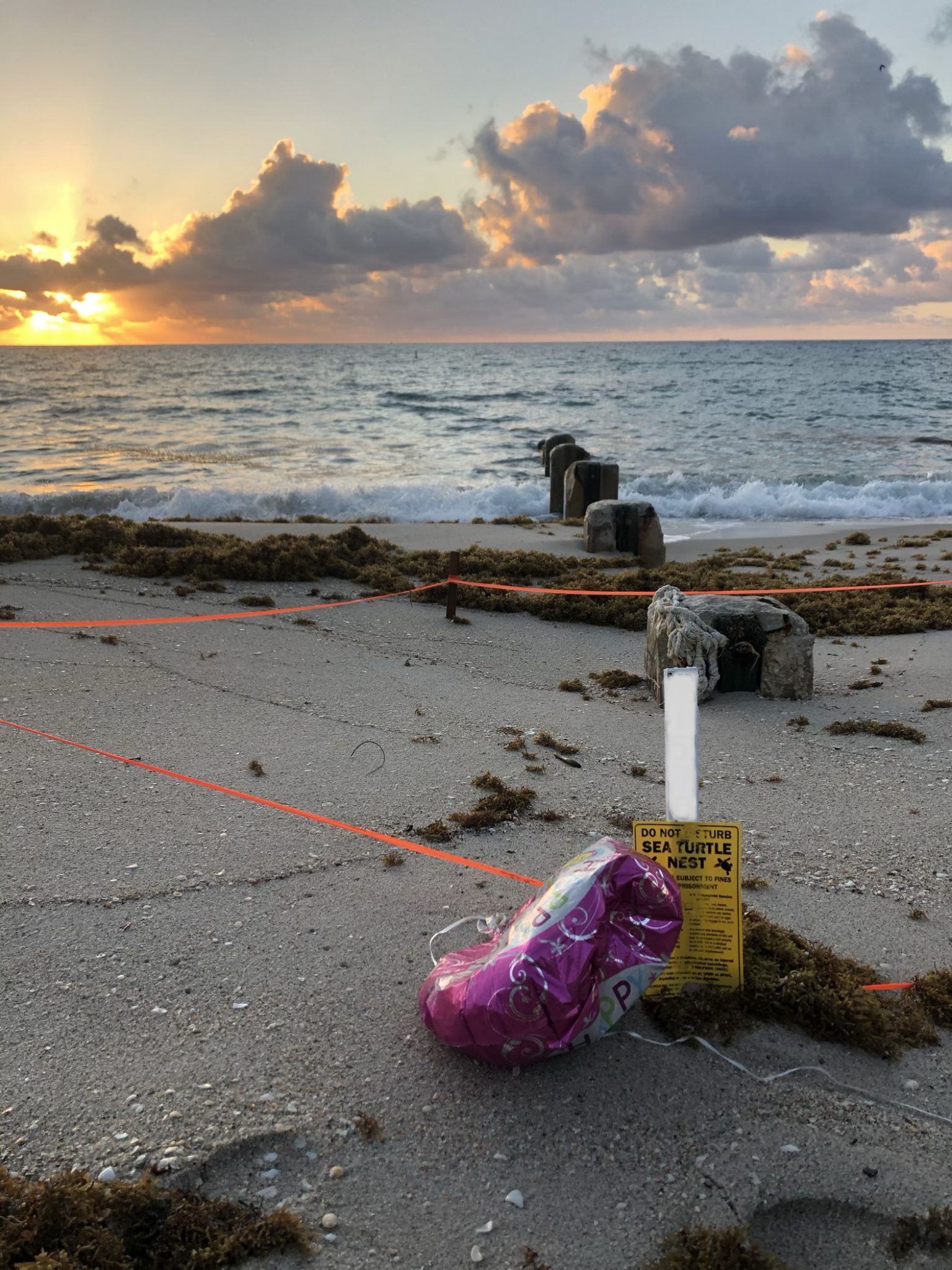 What Goes Up Comes DOWN! Alternatives to Helium Balloons - UF/IFAS ...