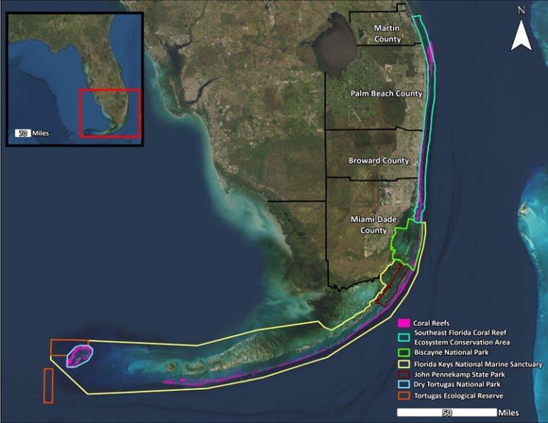 World Reef Awareness Day - UF/IFAS Extension Miami-Dade County