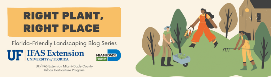 UF/IFAS Extension Miami-Dade County
