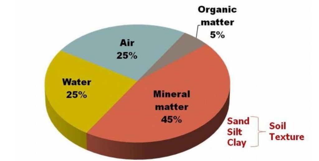 Healthy Trees and Lawns Equal Healthy Soils - UF/IFAS Extension Miami ...
