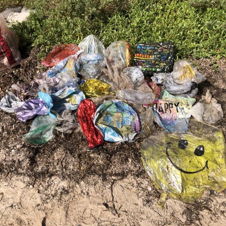 No more balloon releases: new legislation passed and what this means ...