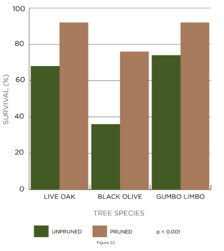 Hurricane Resistant Tree Tips - UF/IFAS Extension Miami-Dade County