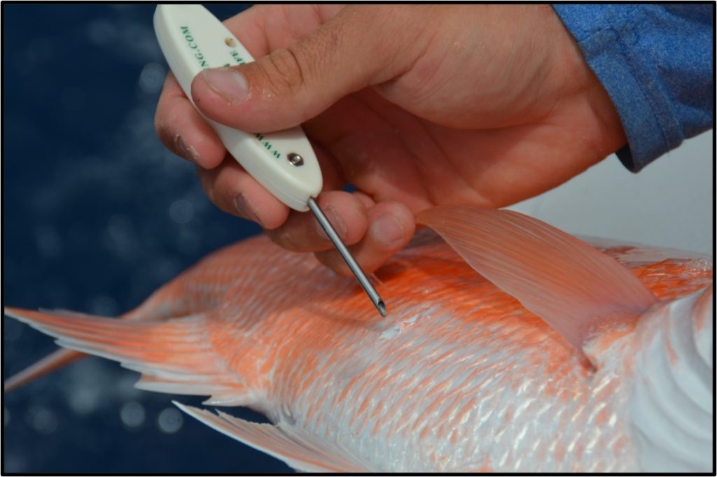 Do I need a descending tool when fishing from my vessel for reef fish ...