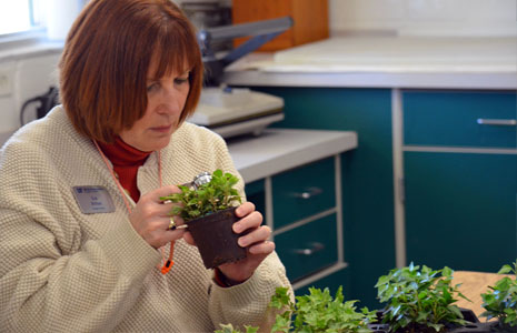 Women in Ag: Dr. Liz Felter - UF/IFAS Mid-Florida Research and ...