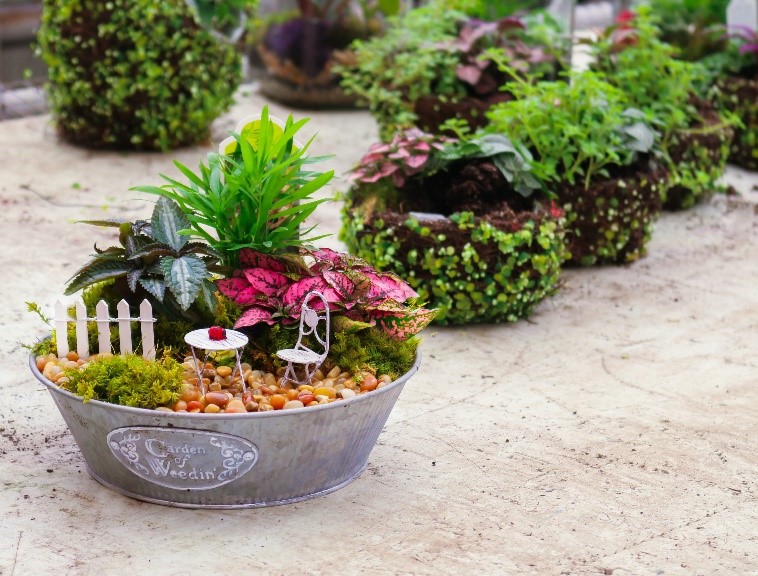 Industry Spotlight: Flori-Design, Inc. - UF/IFAS Mid-Florida Research ...