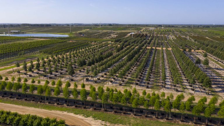 Industry Spotlight: Cherrylake - UF/IFAS Mid-Florida Research and ...