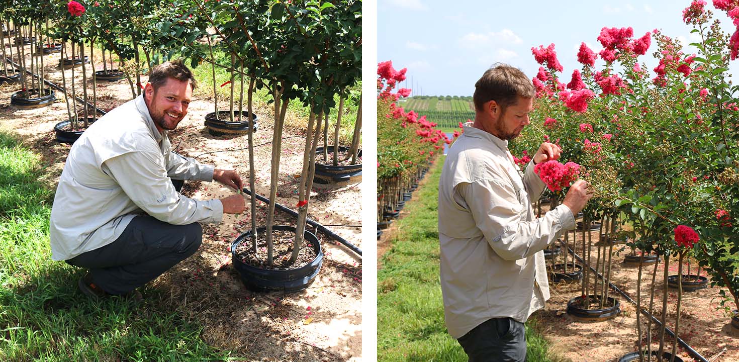 Industry Spotlight: Cherrylake - UF/IFAS Mid-Florida Research and ...