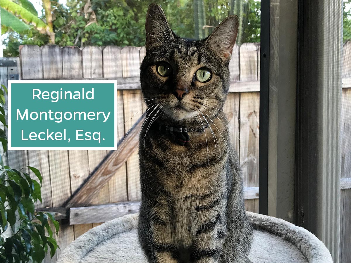 The New Employees of the Mid-Florida Research and Education Center - UF ...