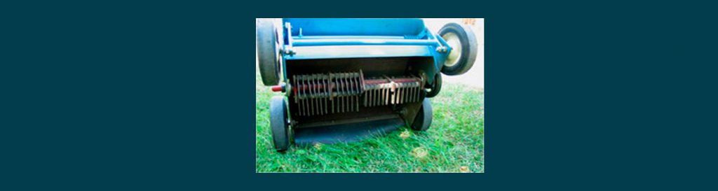 Q: What is vertical mowing? - UF/IFAS Extension Nassau County