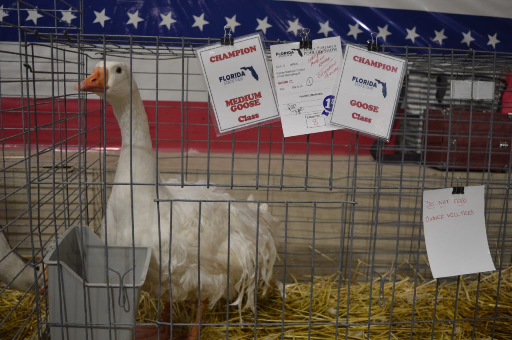 2023 Nassau State Fair Fun! - UF/IFAS Extension Nassau County