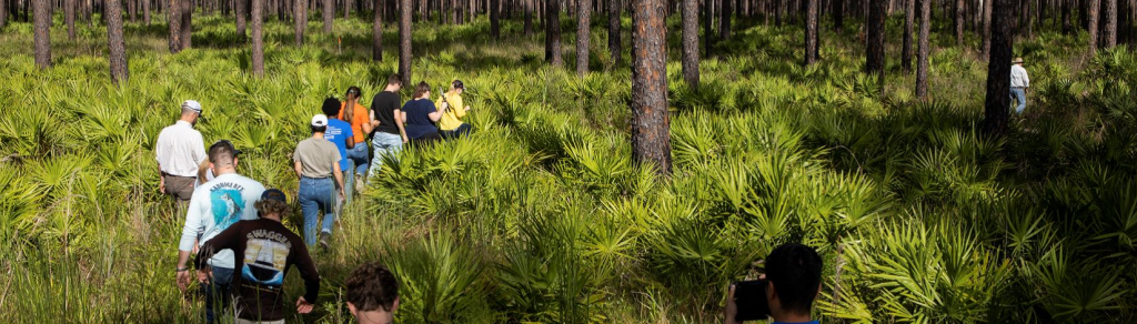 4-H Forest Ecology SPIN Club in Nassau County, Florida - UF/IFAS ...