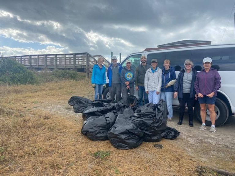 Help Gopher Tortoises Thrive in Nassau County: Remove Mother of ...