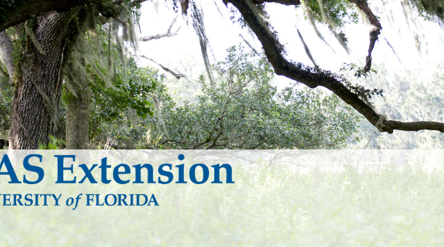 UF/IFAS Extension Administration - University of Florida, Institute of ...