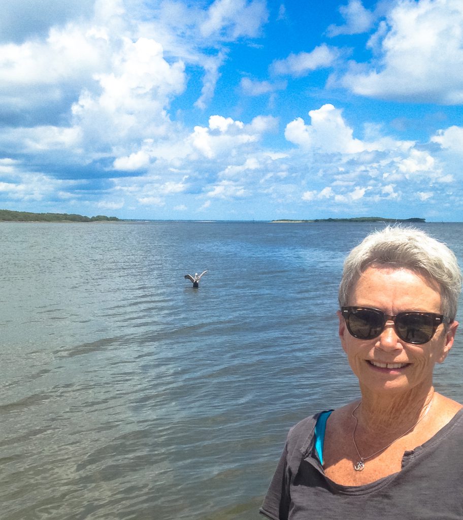 Cedar Key Bird Rescue: 2017 Year in Review - UF/IFAS Nature Coast ...